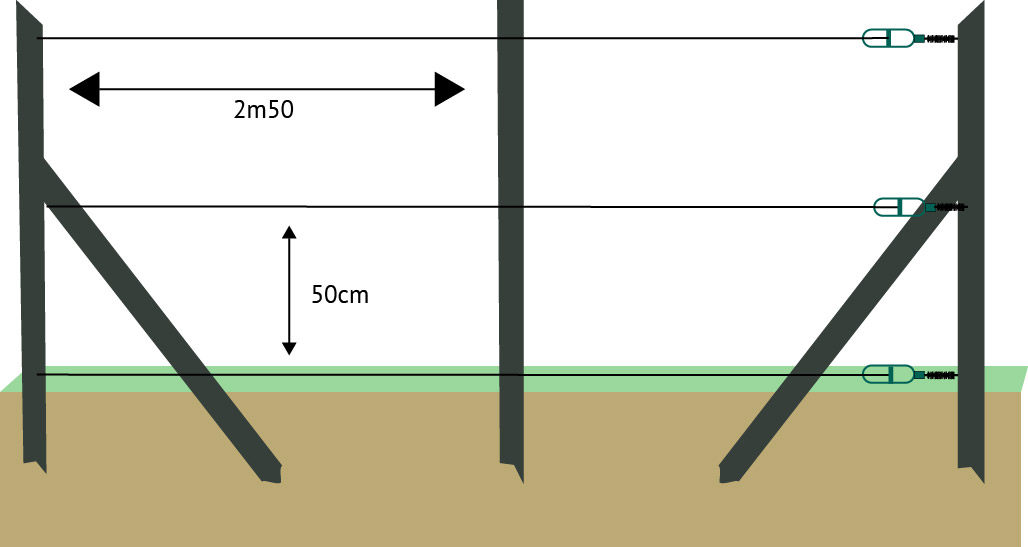 5 étapes pour réussir la pose d’un grillage souple